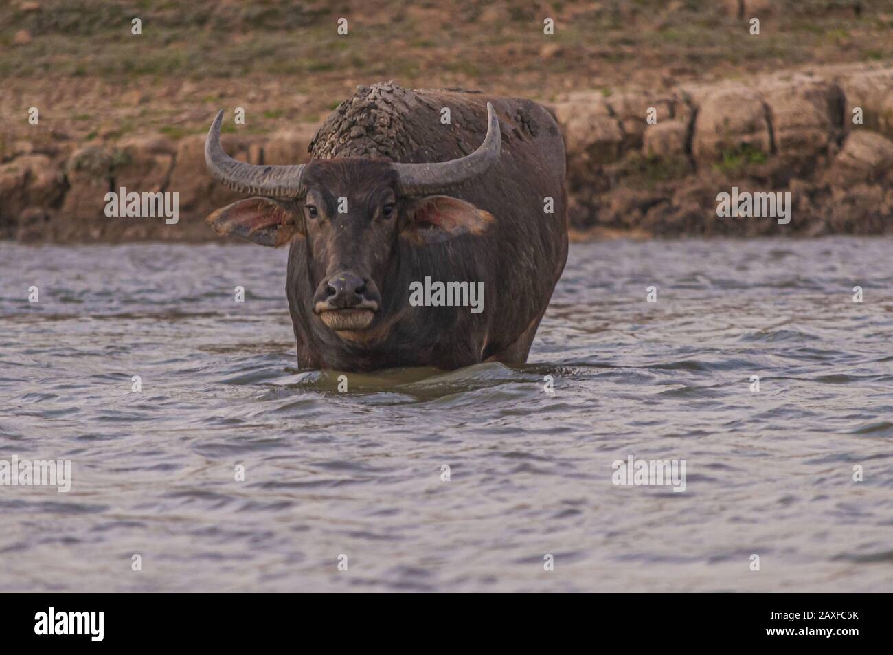 Lac doi tao Banque de photographies et d’images à haute résolution - Alamy