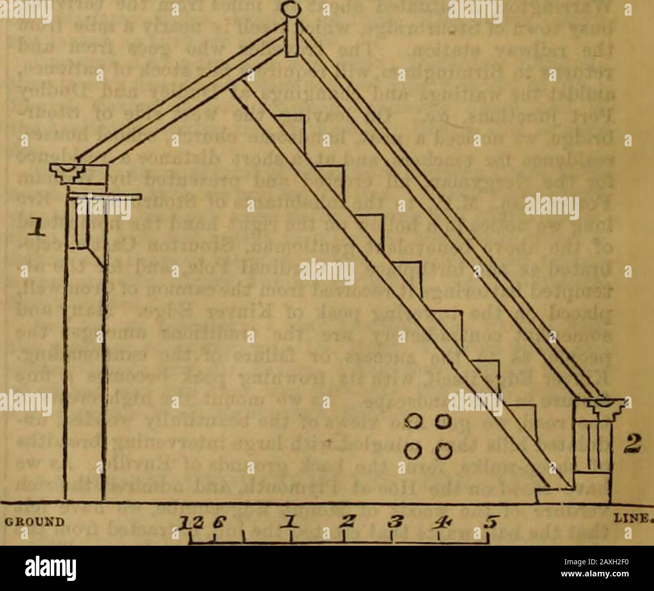 Différentes sortes de pins Banque de photographies et d’images à haute ...