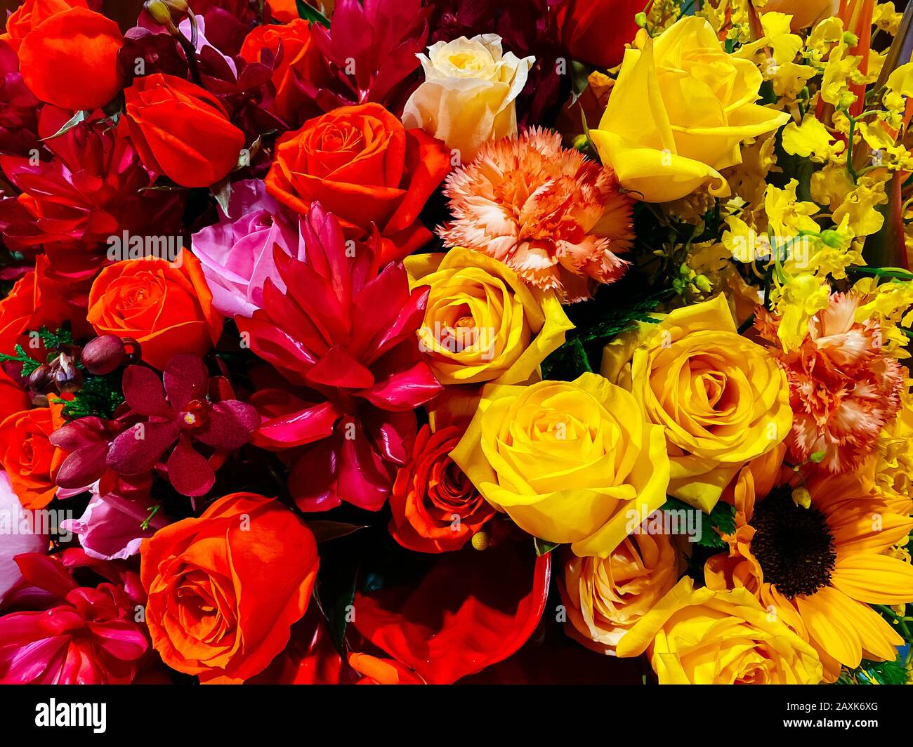 Bouquet de fleurs, composition rapprochée d'un bouquet de fleurs, roses ...