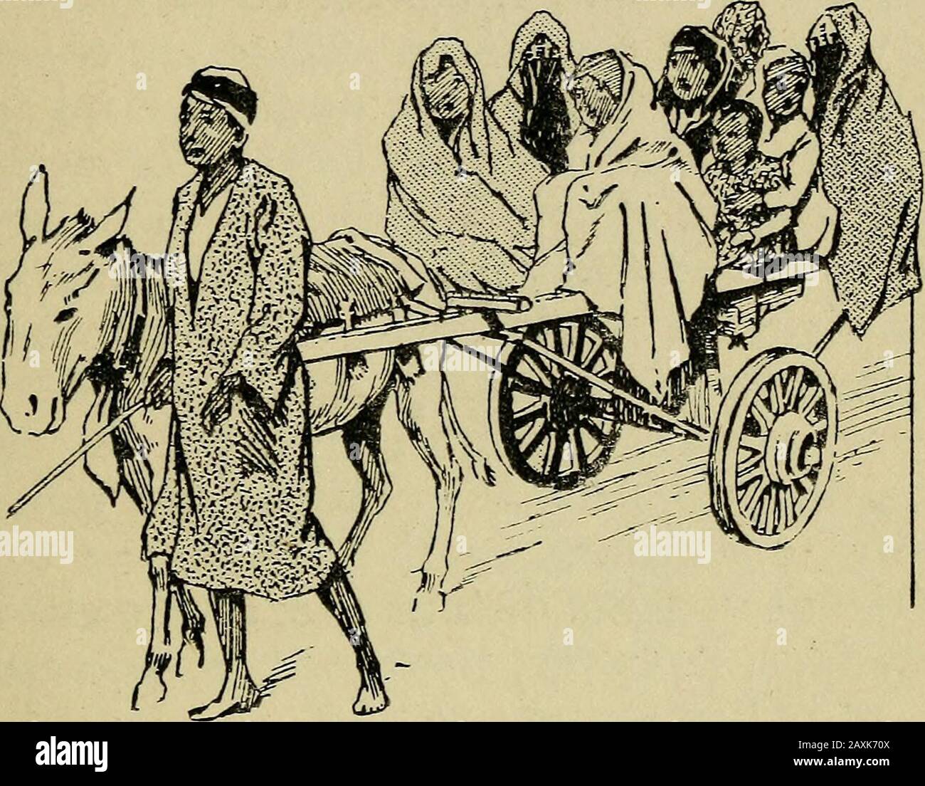 Cairo tram Banque de photographies et d’images à haute résolution - Alamy