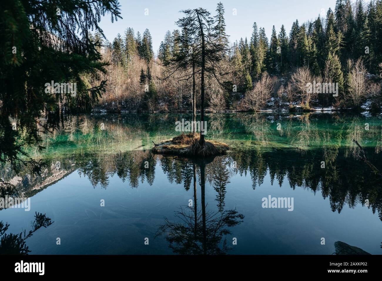 Paysage d'un lac entouré de forêts avec des arbres reflétant sur l'eau sous la lumière du soleil ...