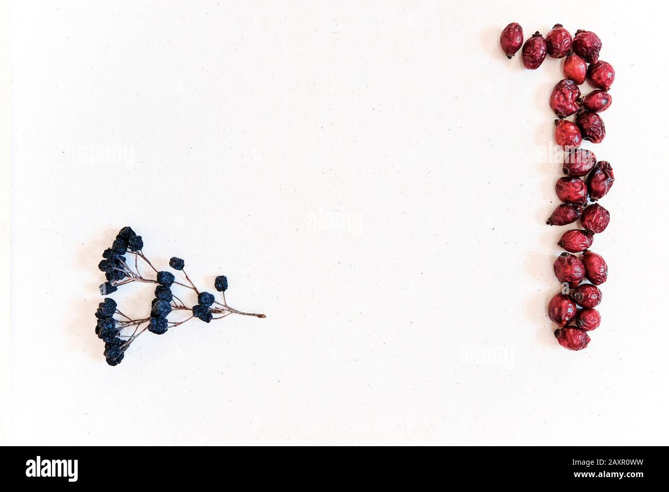 Aronia rouge Banque de photographies et d’images à haute résolution - Alamy