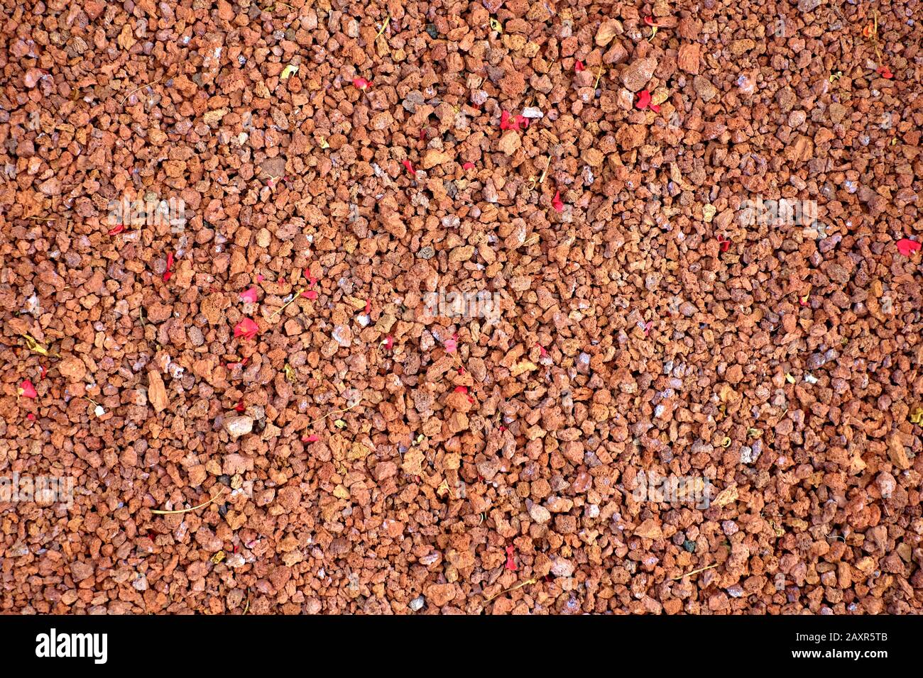 Cailloux volcaniques Banque de photographies et d’images à haute ...