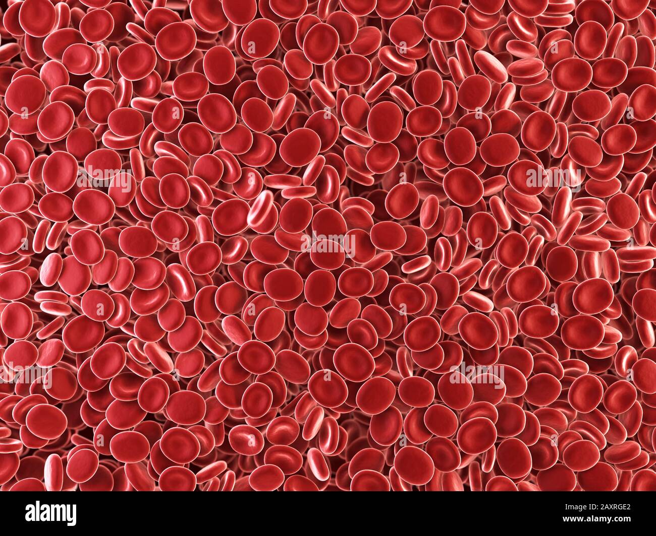 Plaquettes de globules rouges humains Banque de photographies et d ...