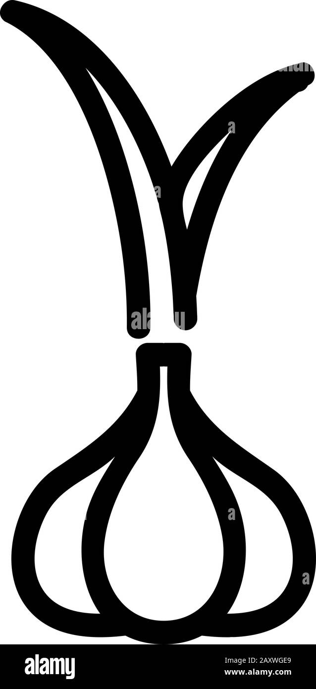 L'icône de l'ail vecteur. Illustration symbole contour isolé Image ...