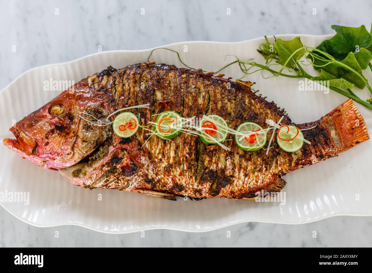 Poisson-vivaneau grillé servi sur une plaque en céramique blanche ...