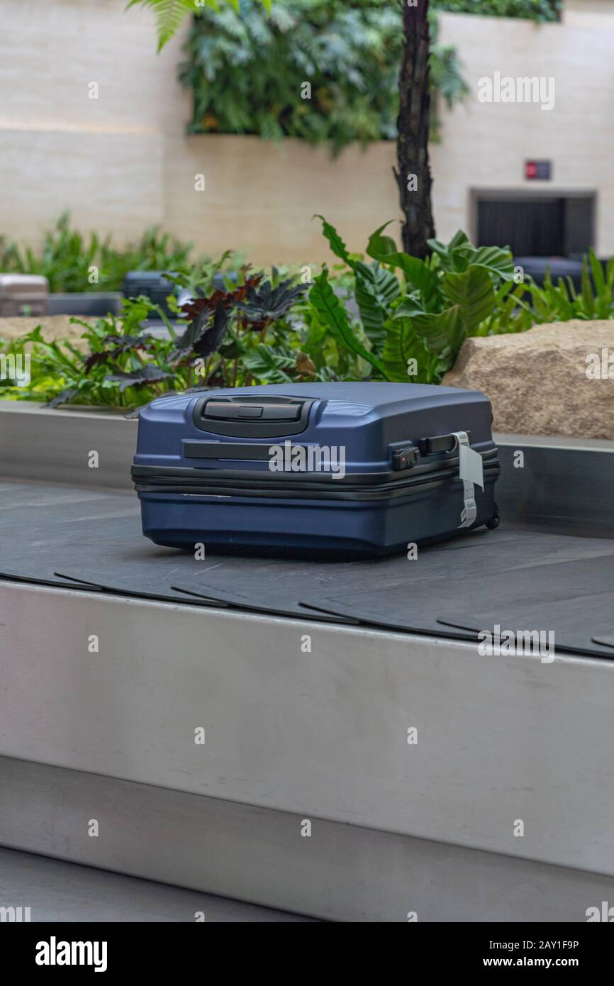 Valise bleue sur le tapis roulant au terminal d'arrivée de l'aéroport ...