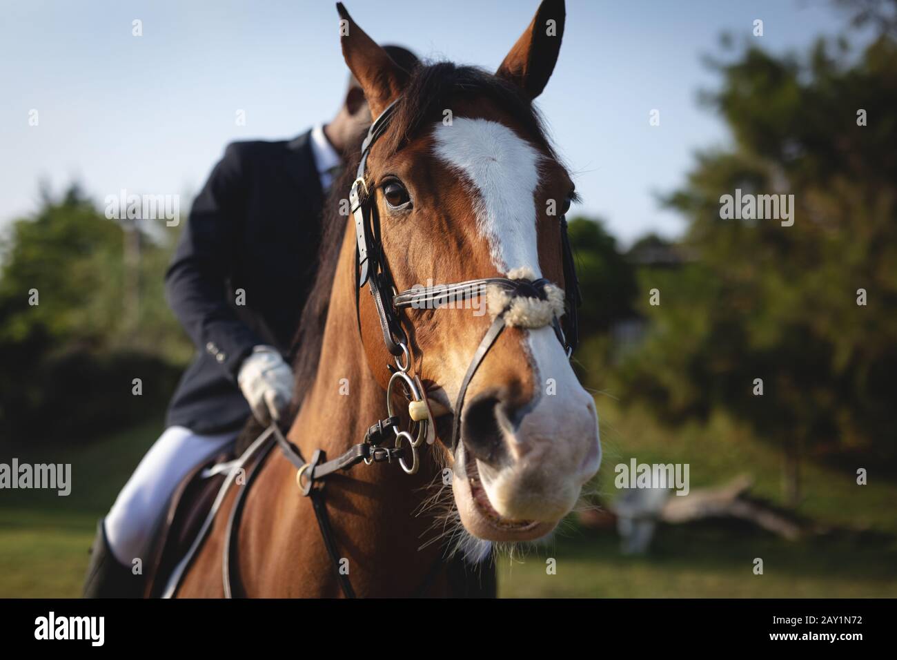 Man riding horse dressage Banque de photographies et d’images à haute ...