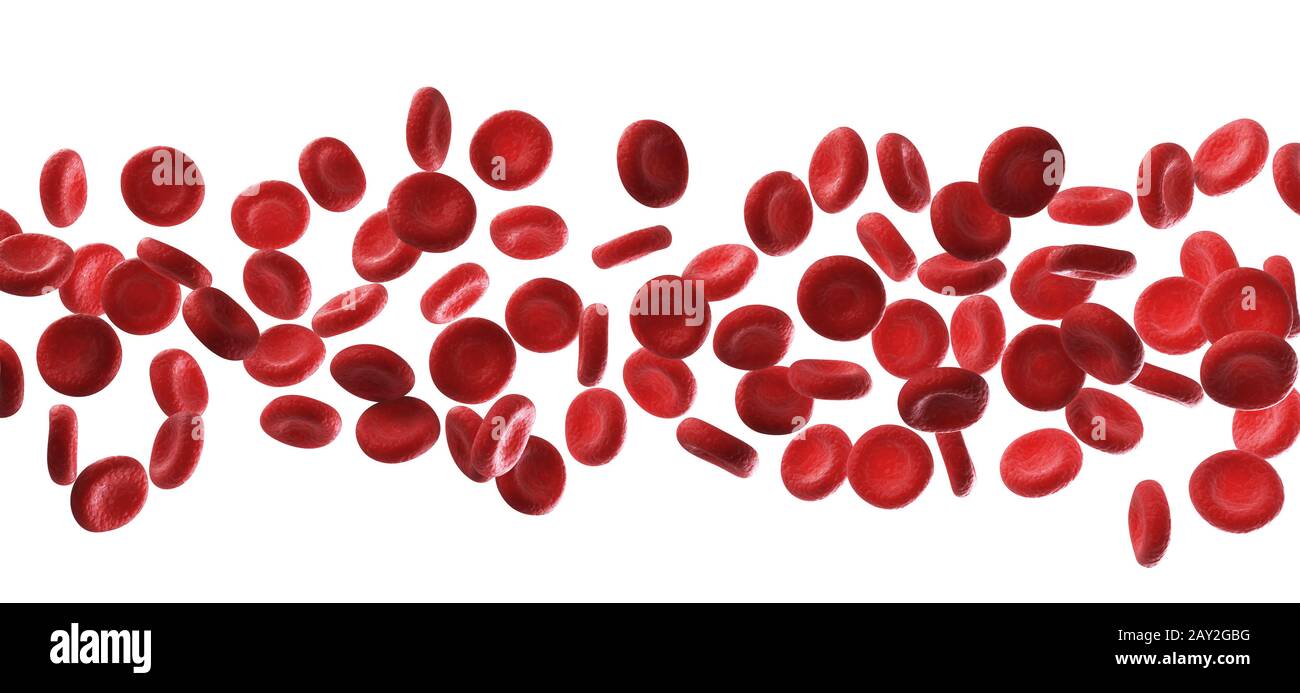 Globules rouges humains Banque de photographies et d’images à haute ...