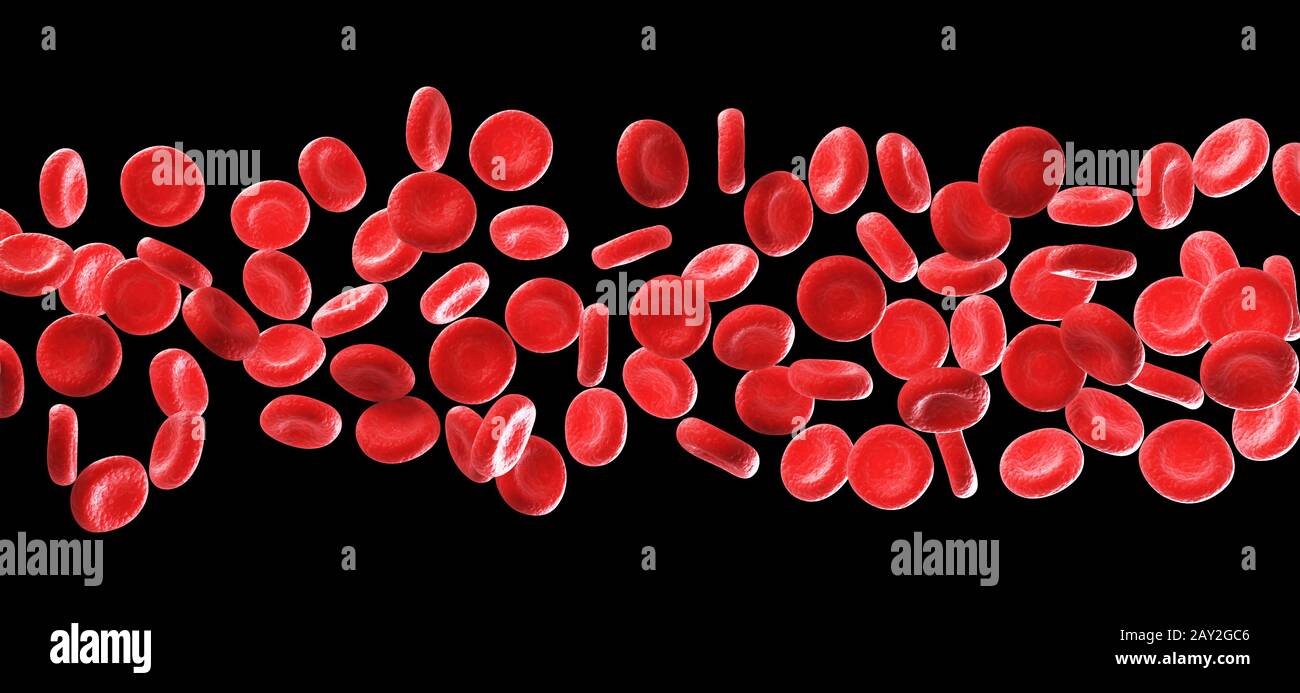 Globules rouges humains Banque de photographies et d’images à haute ...