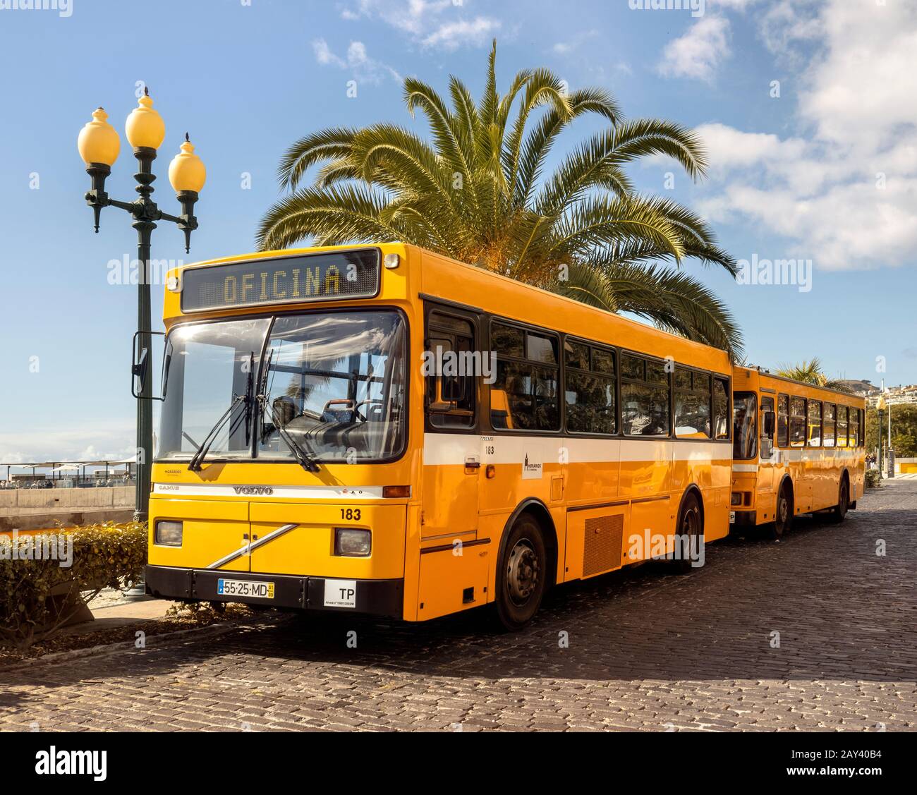 Yellow buses Banque de photographies et d’images à haute résolution - Alamy