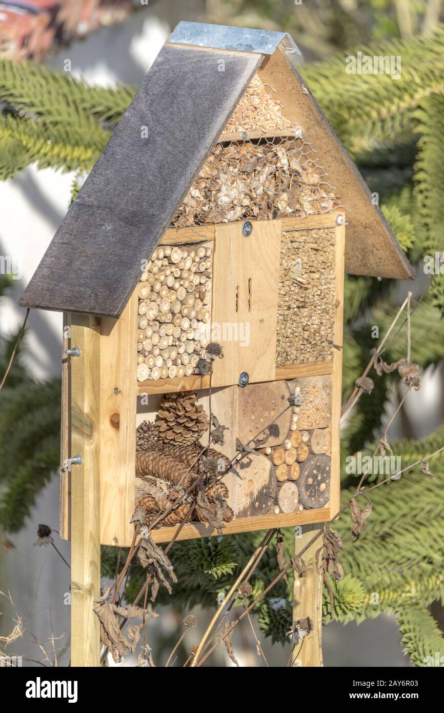 Insecte maison Banque de photographies et d’images à haute résolution ...