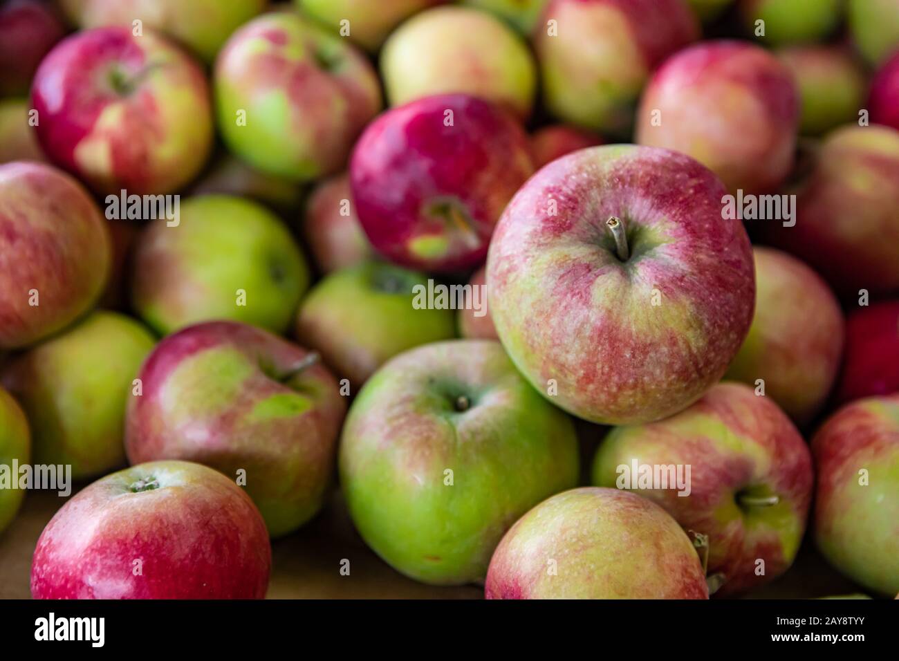 Gros plan de belles pommes en vente sur le marché alimentaire local ...
