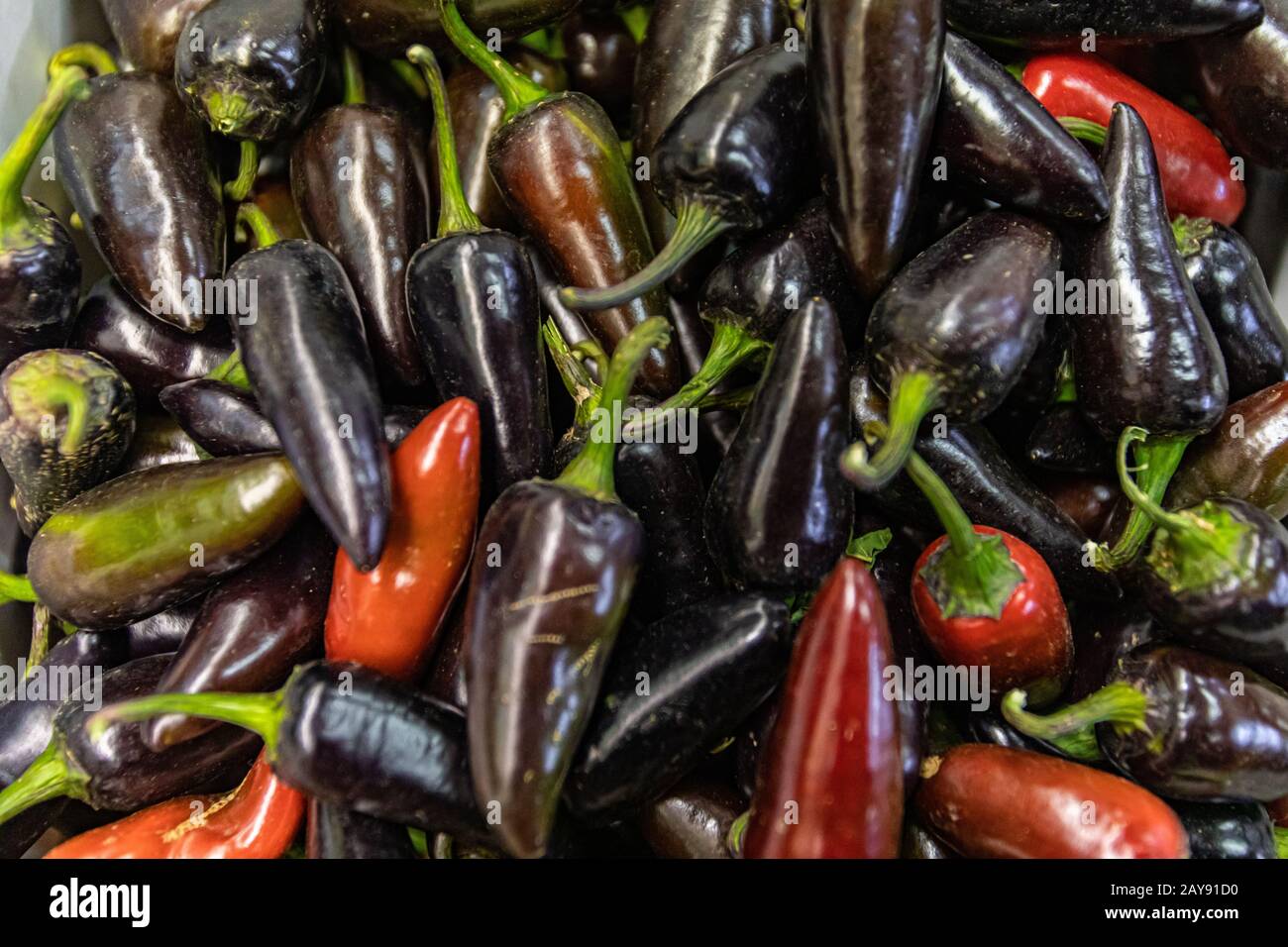 Gros plan d'un bouquet de piments rouges et noirs. Pour l'utilisation ...