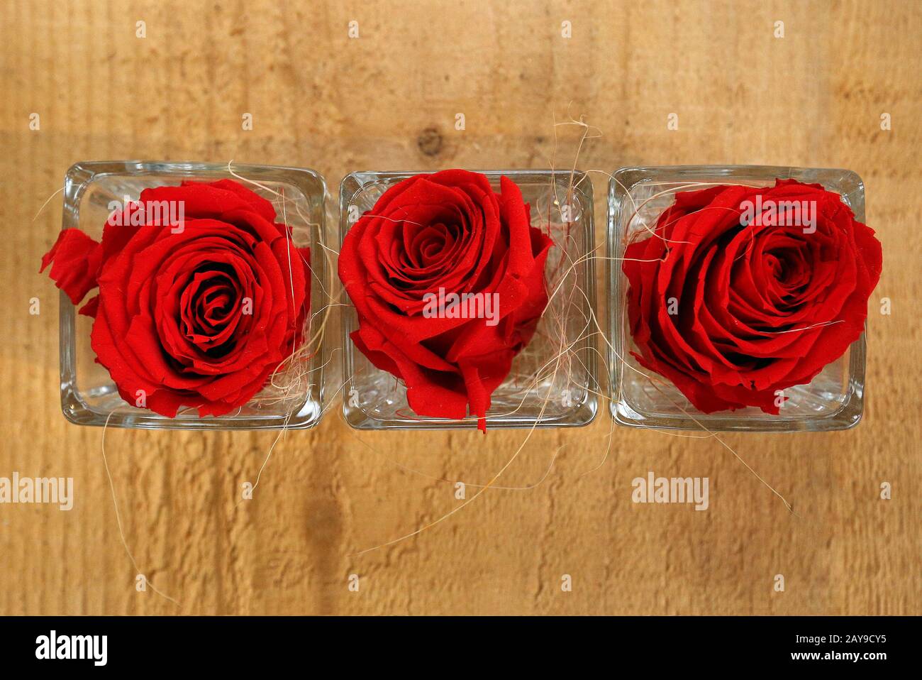 Trois roses Banque de photographies et d’images à haute résolution - Alamy