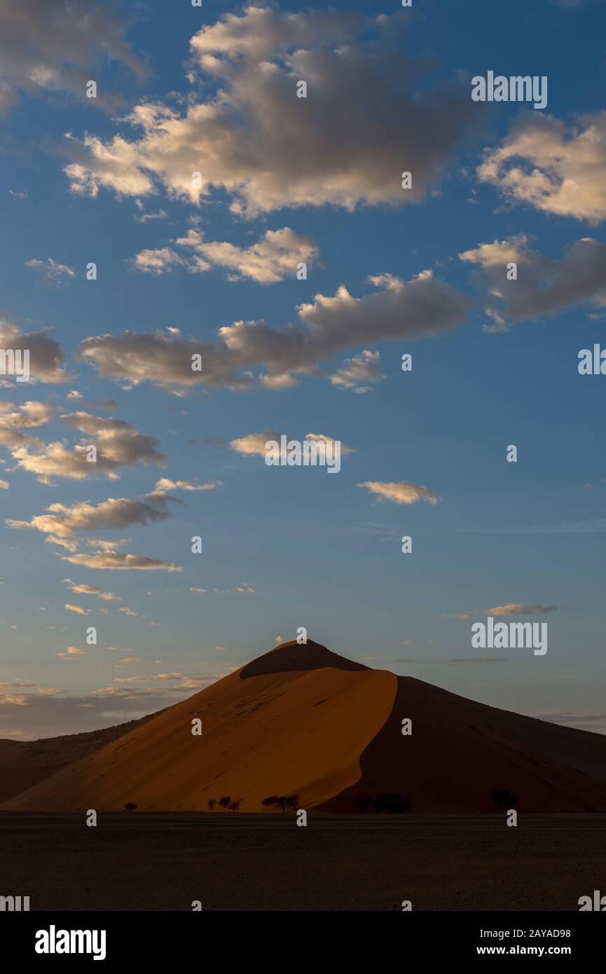 Une dune de sable rose est lentement éclairée par le soleil levant dans ...