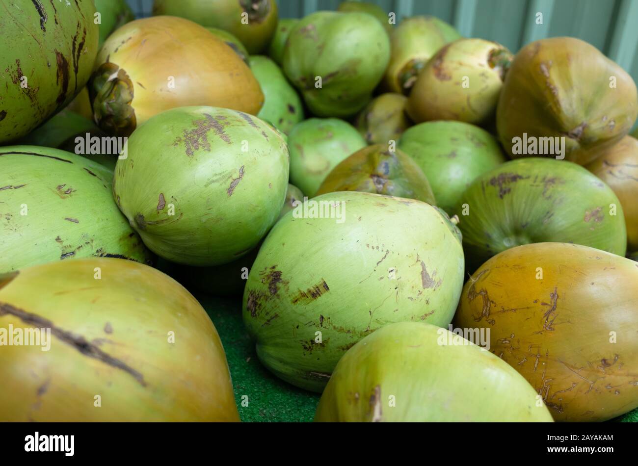 Coco fruit Banque de photographies et d’images à haute résolution - Alamy