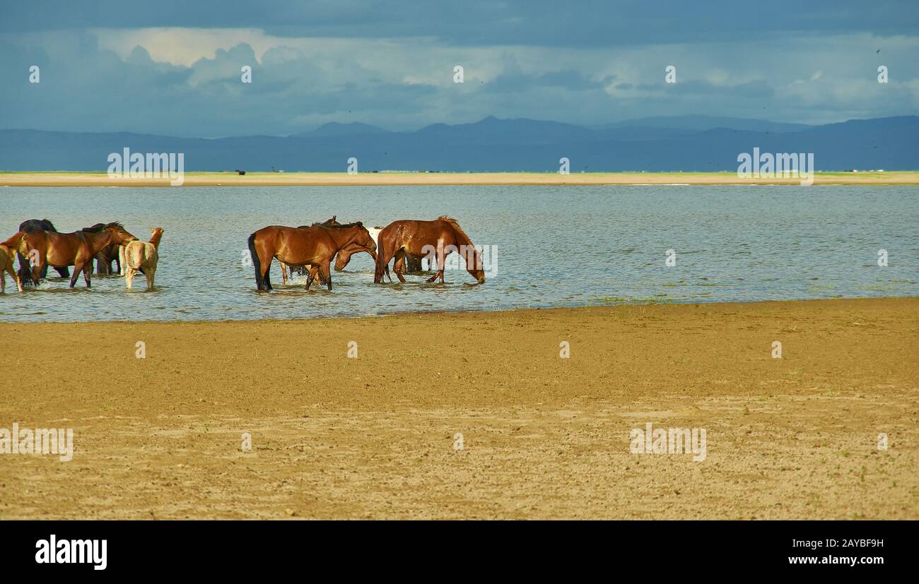 Khongor els Banque de photographies et d’images à haute résolution - Alamy