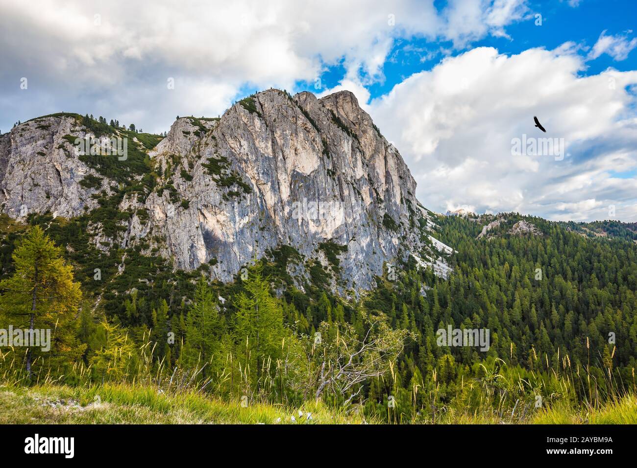 Journée d'automne ensoleillée Banque de photographies et d’images à ...