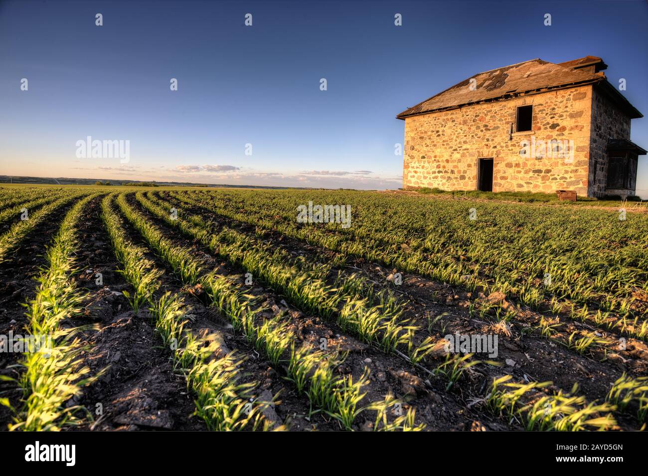 Ferme de la saskatchewan Banque de photographies et d’images à haute ...