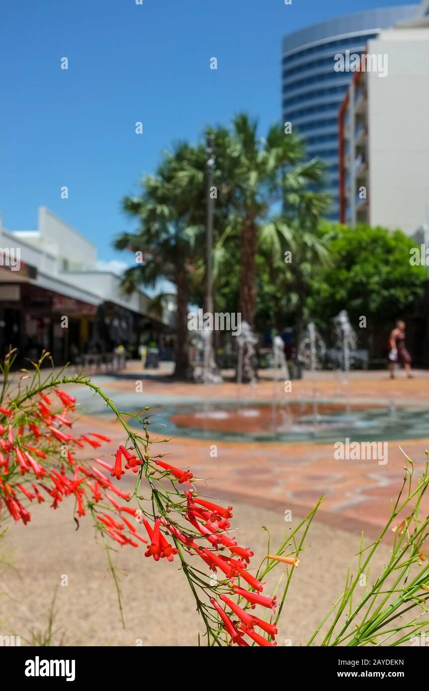 Le centre commercial Smith Street Mall de Darwin City, capitale du ...