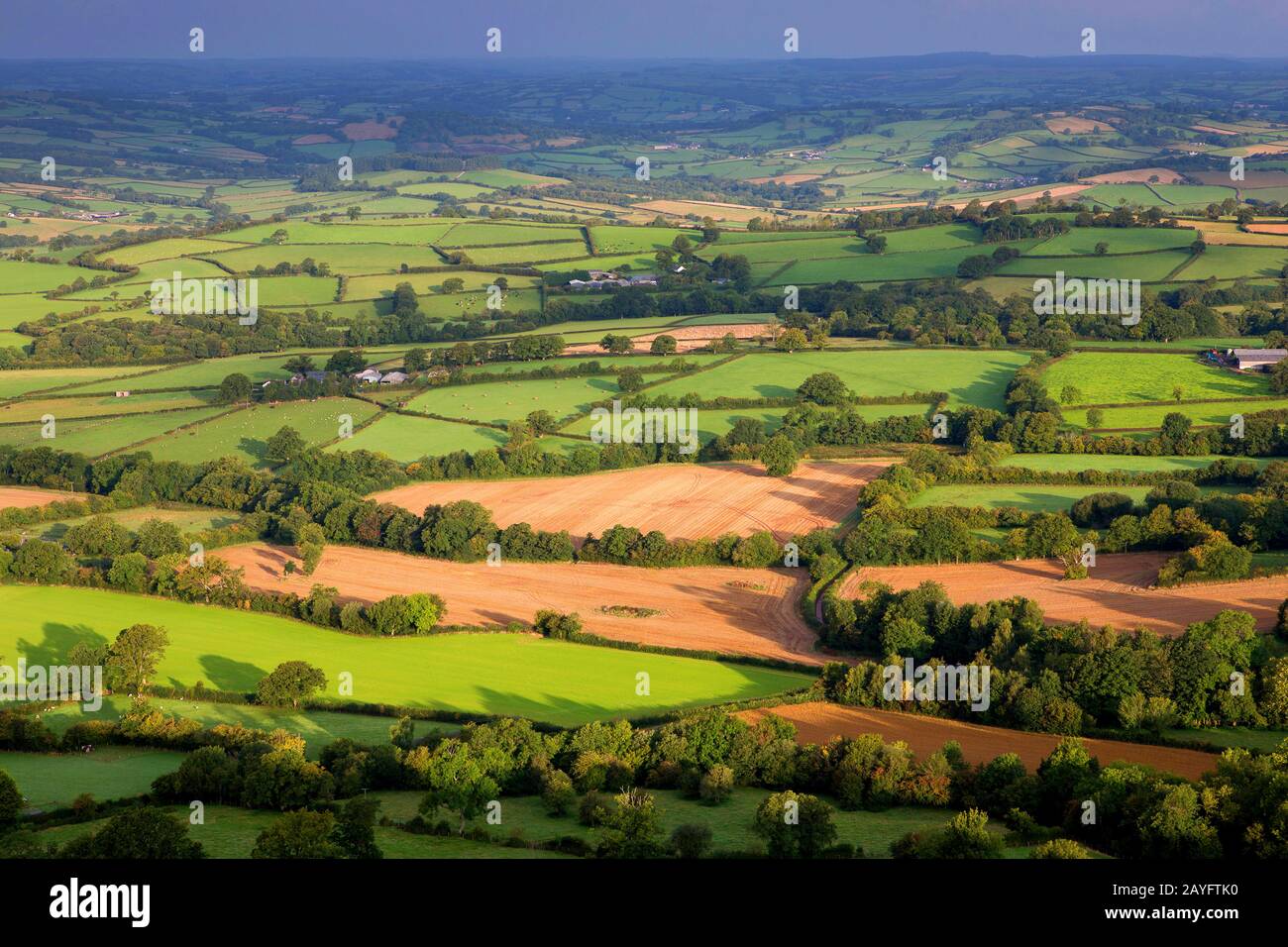 Haie bocage Banque de photographies et d’images à haute résolution - Alamy
