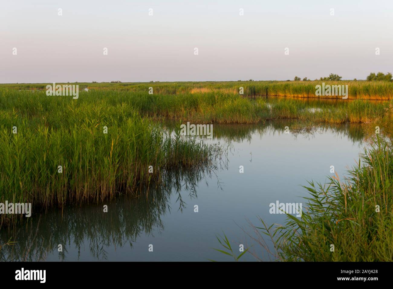 Rhone delta Banque de photographies et d’images à haute résolution - Alamy