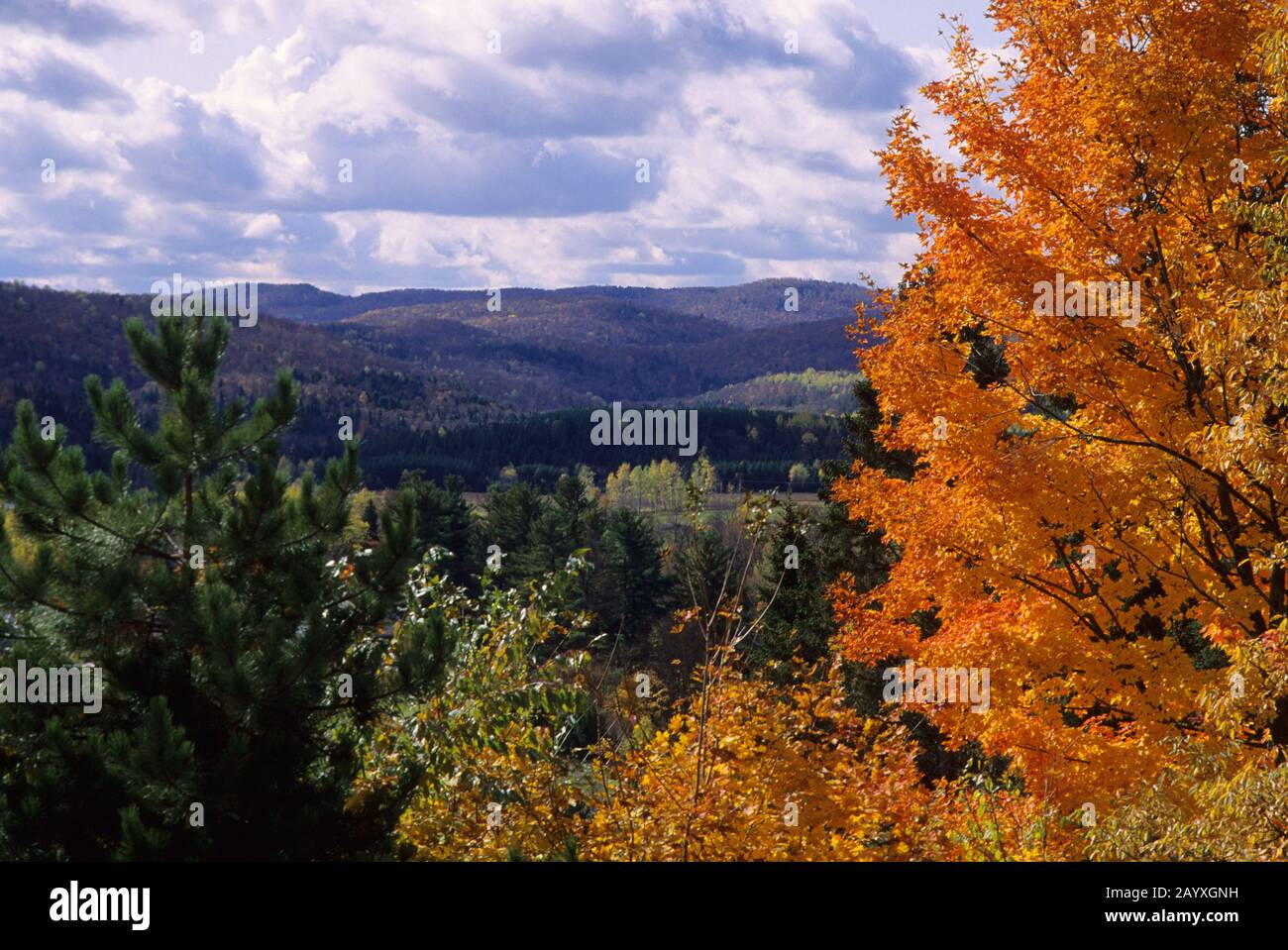Paysage d'automne laurentides québec Banque de photographies et d ...