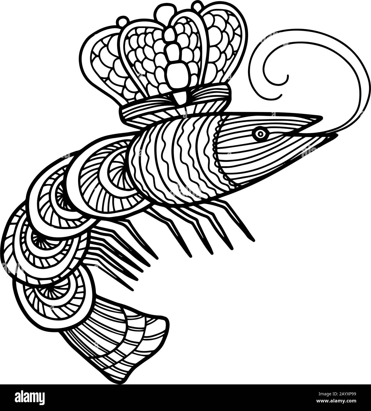 Page du livre de coloriage crevette Banque de photographies et d’images ...