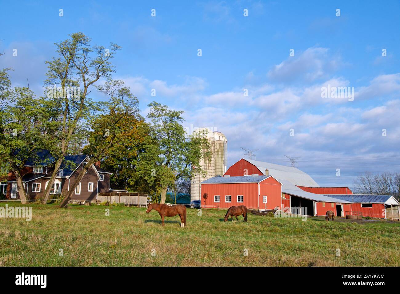 Porte de la ferme rouge Banque de photographies et d’images à haute ...
