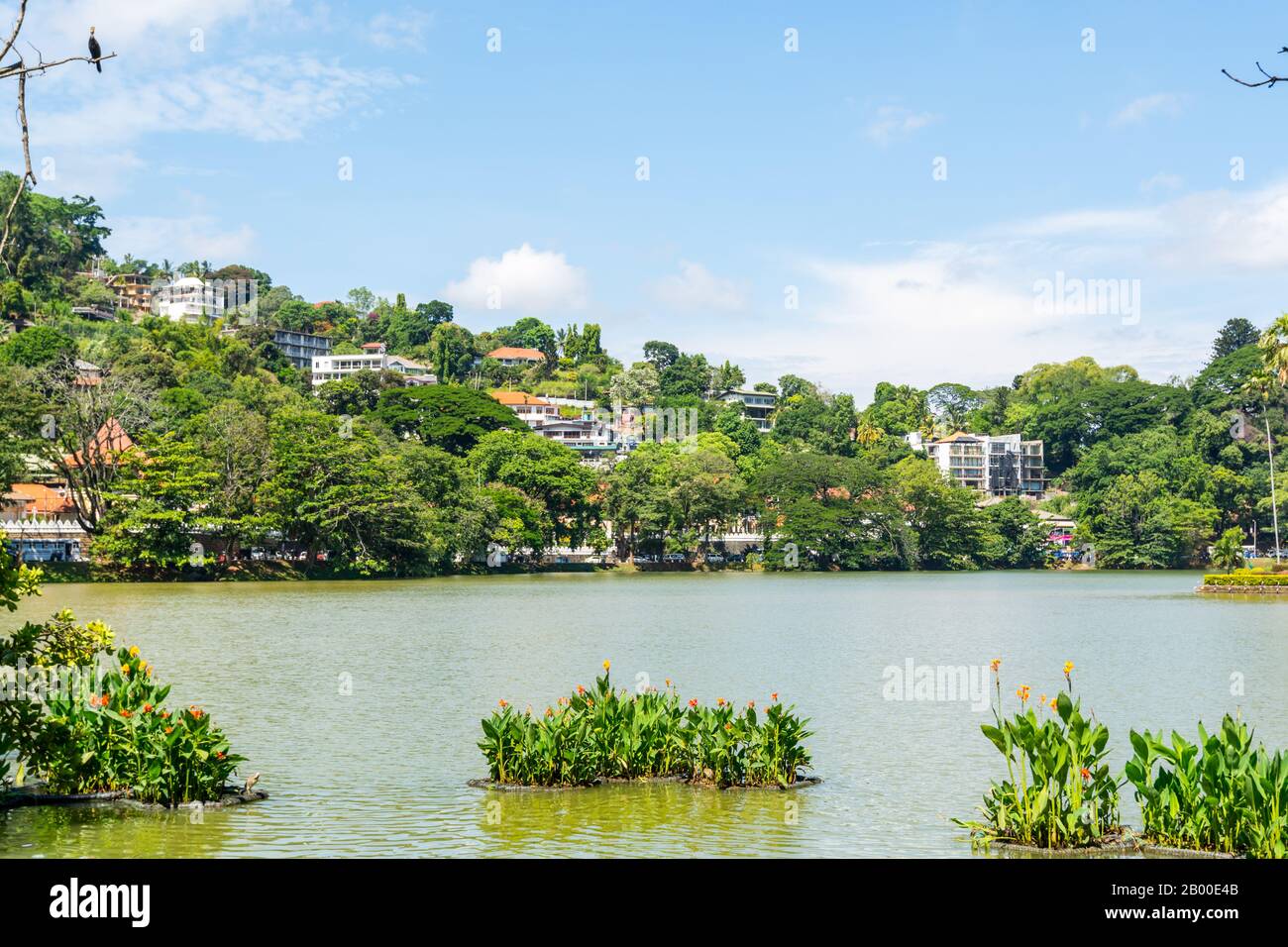 Le lac de Kandy ou Kiri Muhuda ou la mer de lait, un lac artificiel au ...