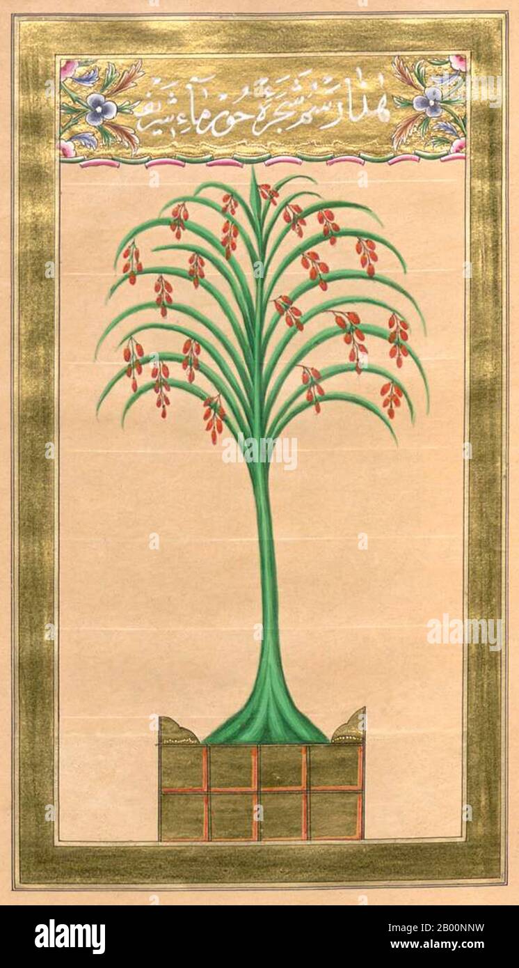 Turquie : folio illuminé d'un kitabi ottoman dua ou d'un «livre de ...