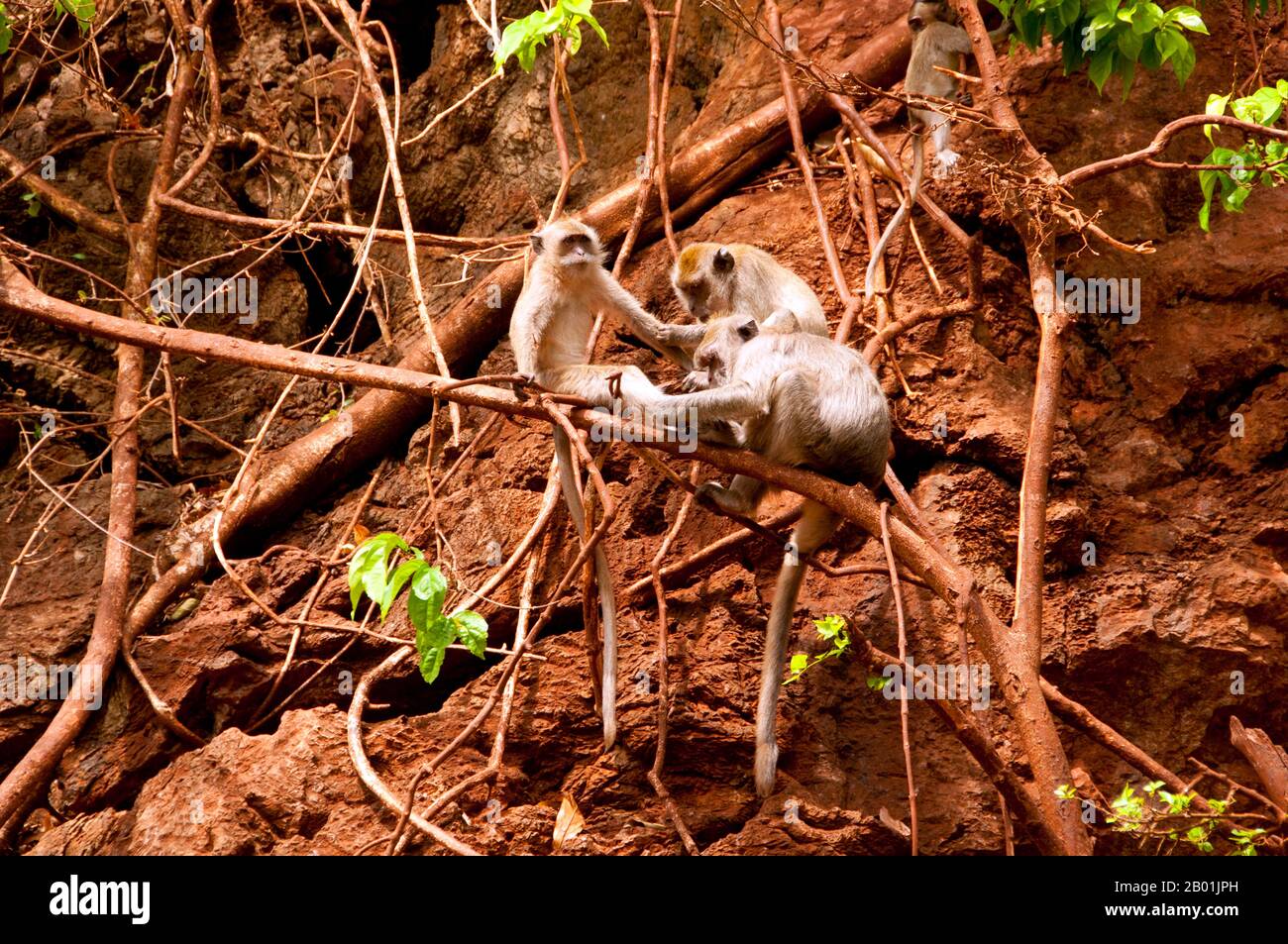 20 lb Banque d'image et photos - Alamy