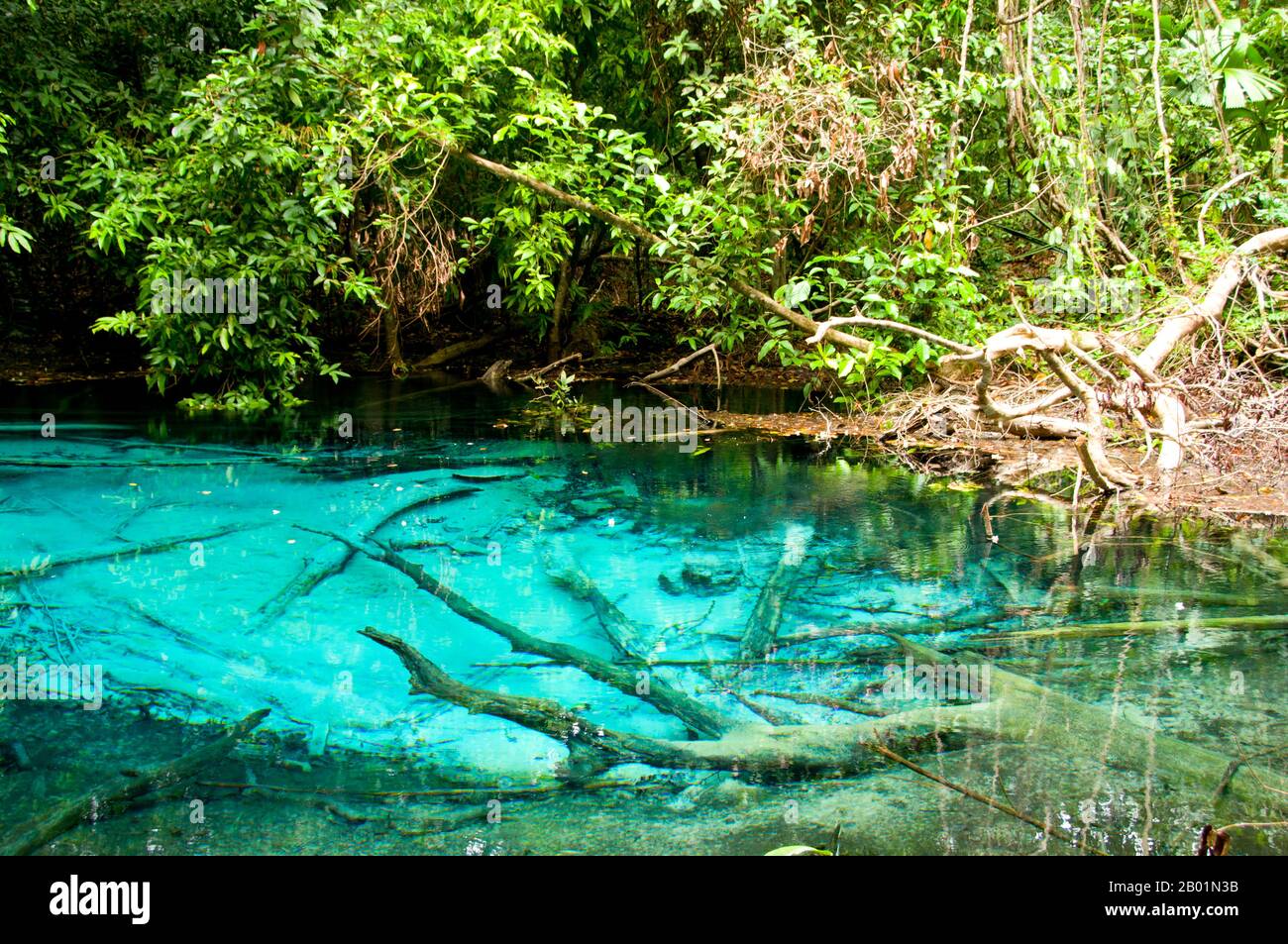 Thaïlande : Blue Pool, Tung Tieo Forest Trail, Khao Pra - Bang Khram ...