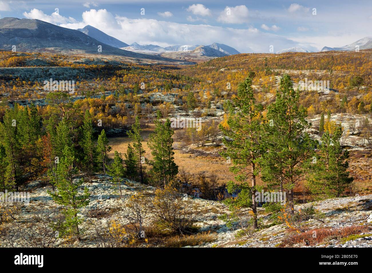 L'automne dans la toundra Banque de photographies et d’images à haute ...