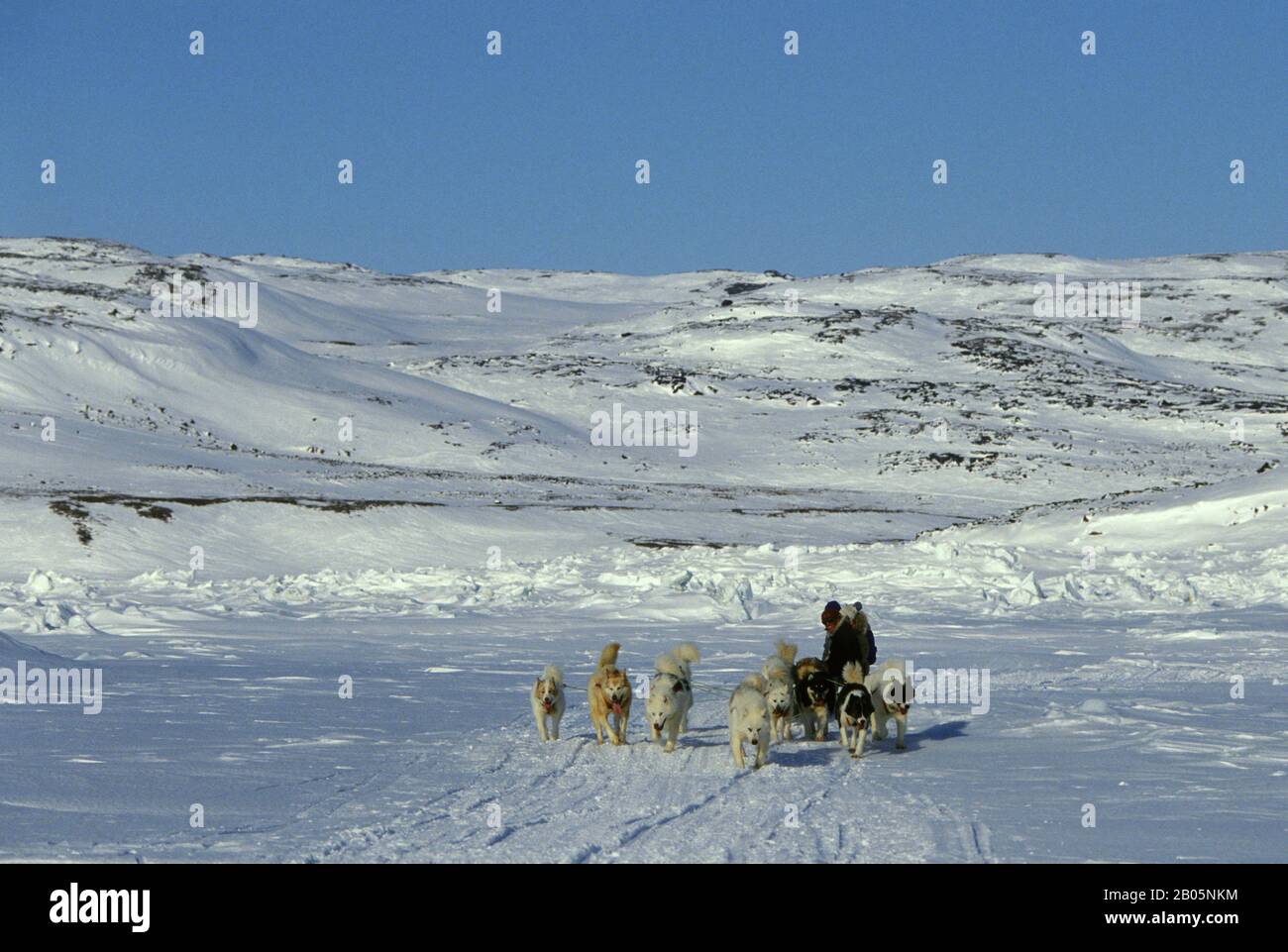 Traineau À Chiens Canada Inuit Banque d'image et photos - Alamy