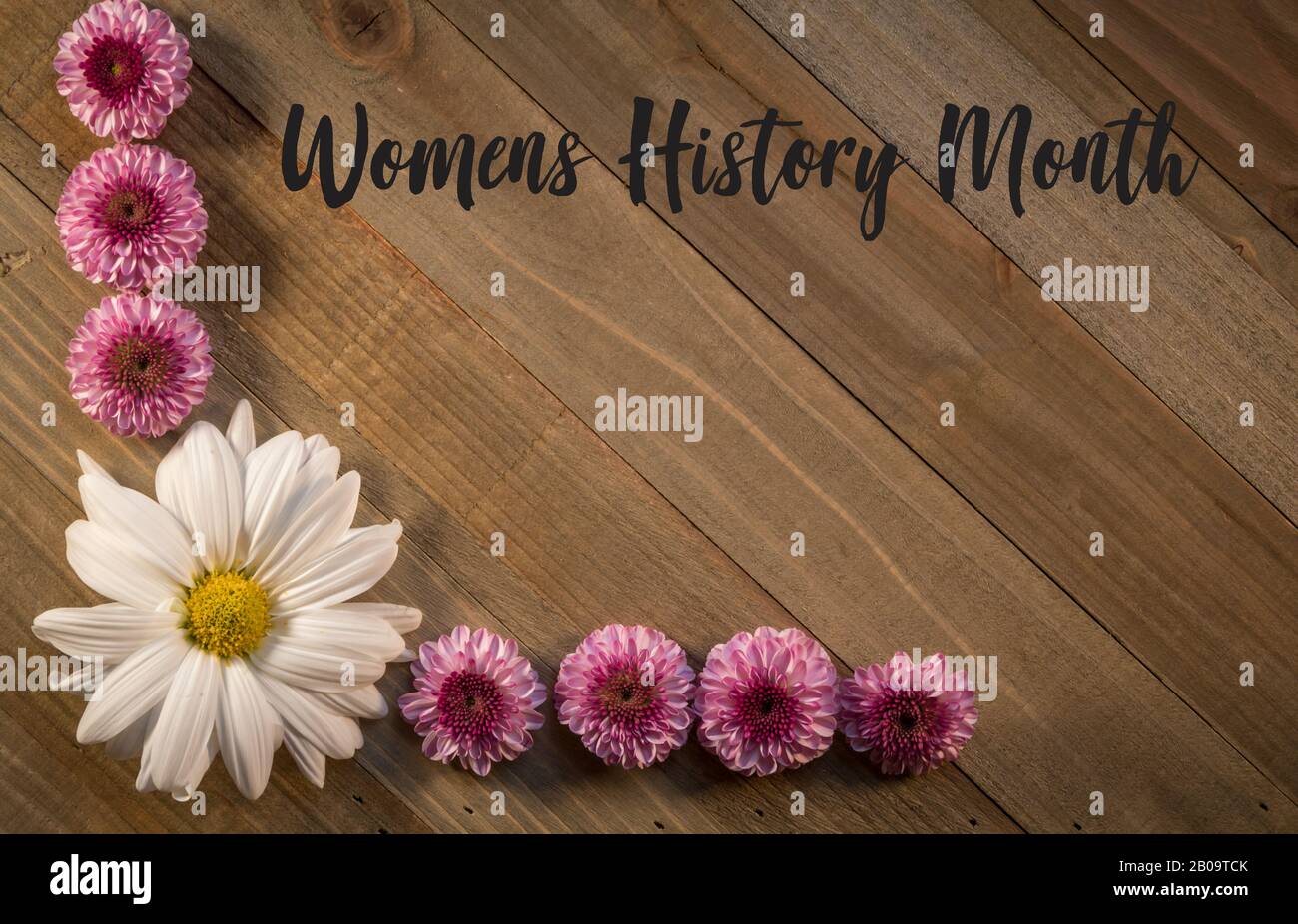 Womens history month Banque de photographies et d’images à haute ...