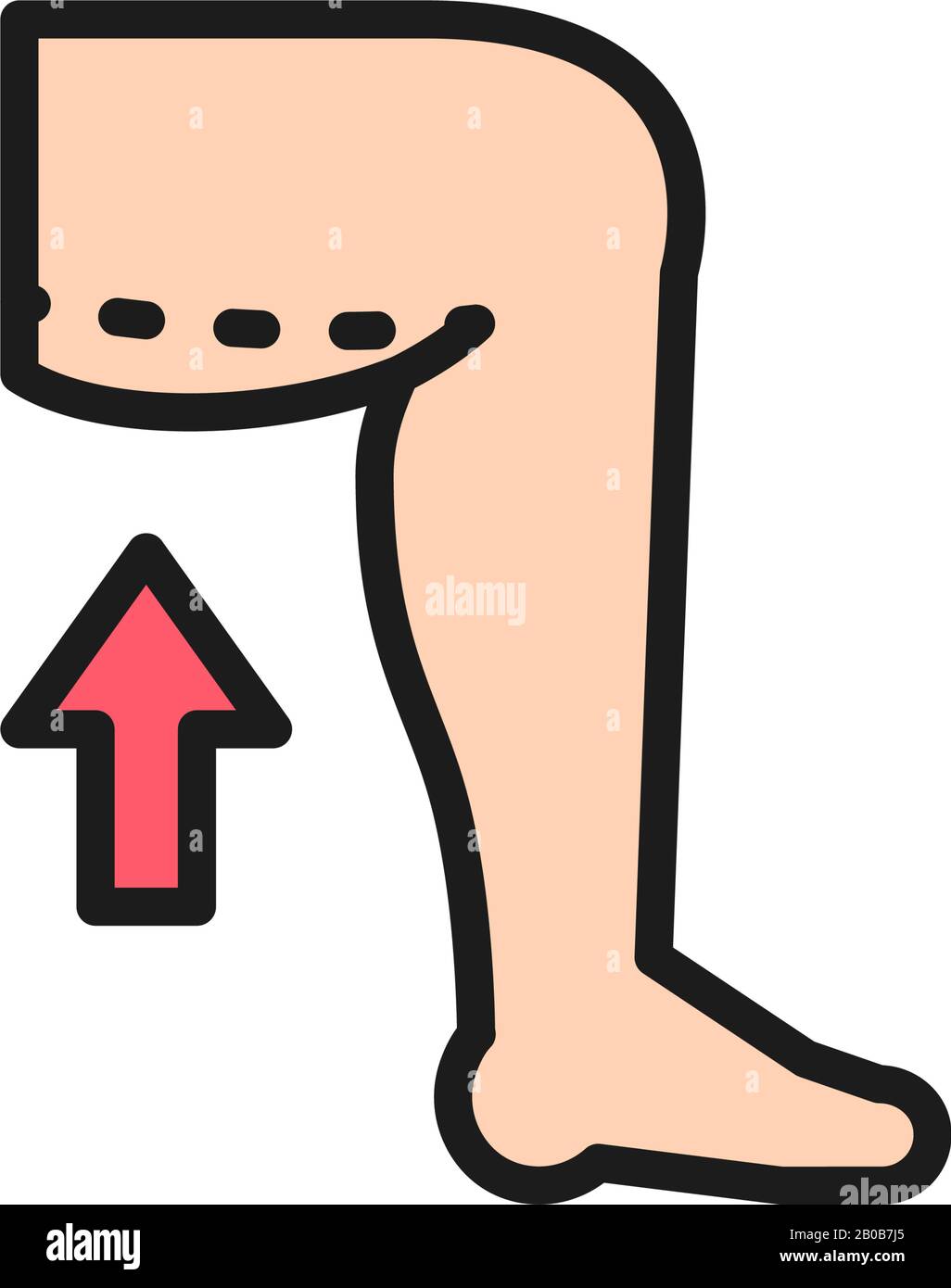 Dessin anatomie cuisse Banque de photographies et d’images à haute ...