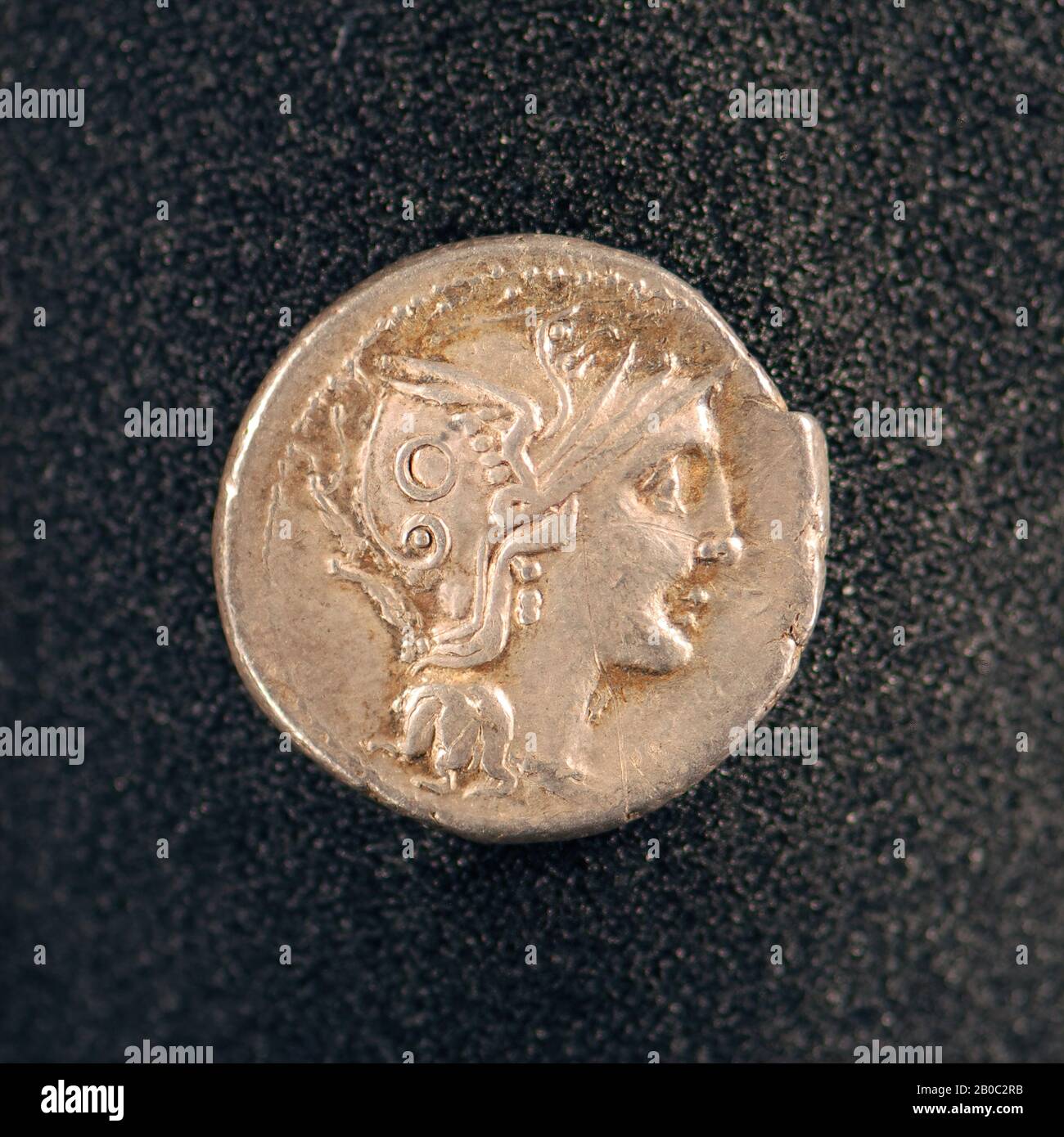 Claudius pulcher Banque de photographies et d’images à haute résolution ...