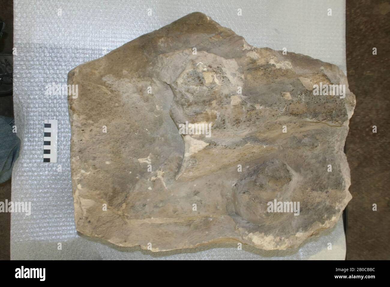 60 x 50 x 27 cm Banque de photographies et d’images à haute résolution ...