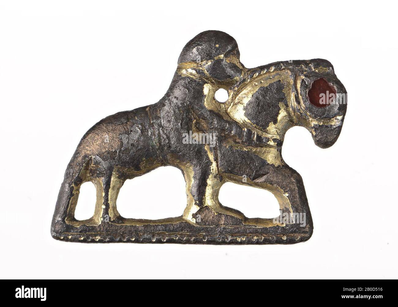 Fibula horse Banque de photographies et d’images à haute résolution - Alamy