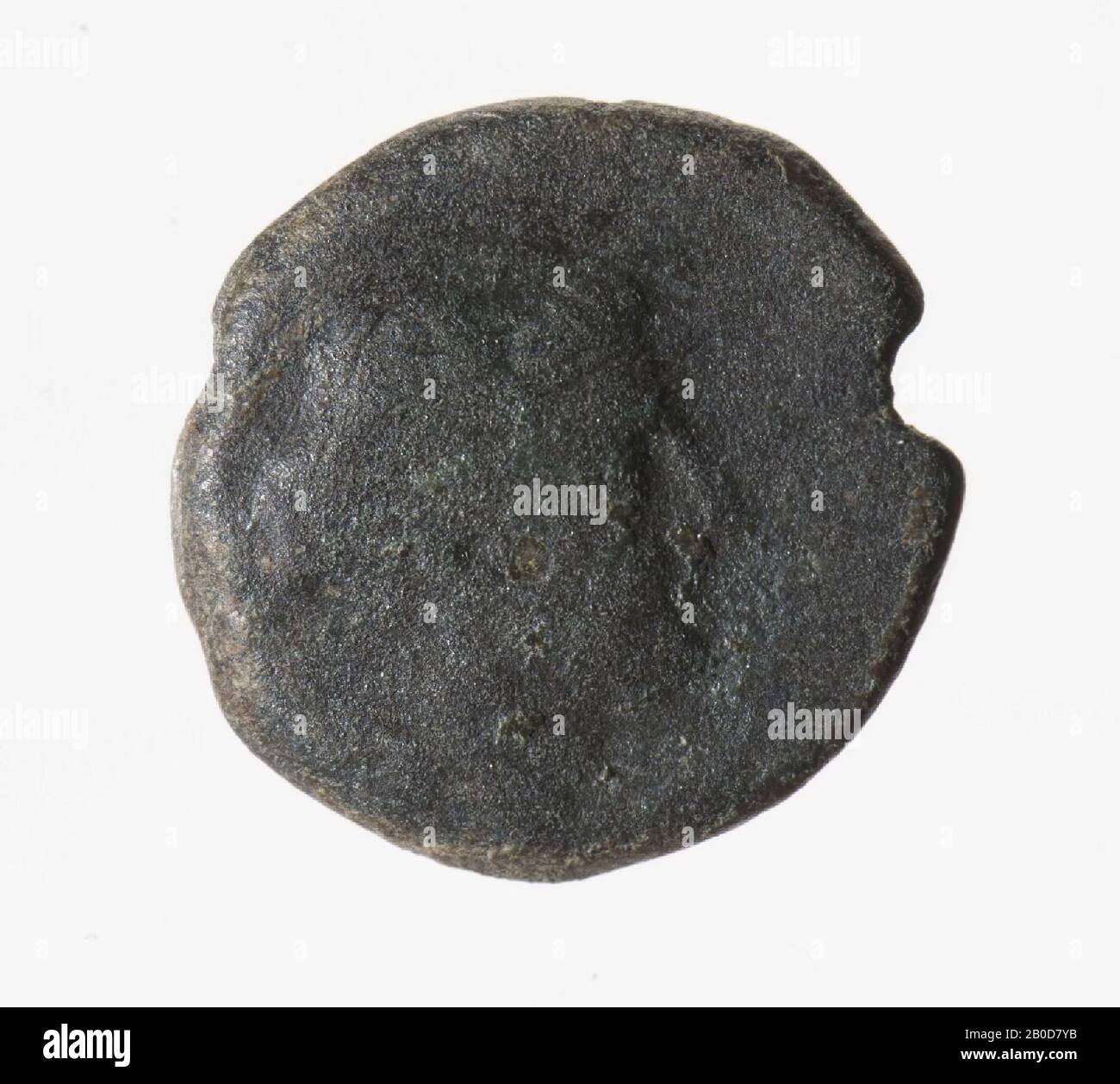 Palmier en bronze Banque d'images détourées - Alamy