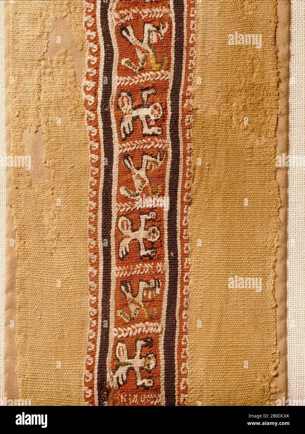 Tissu animal Banque de photographies et d’images à haute résolution - Alamy