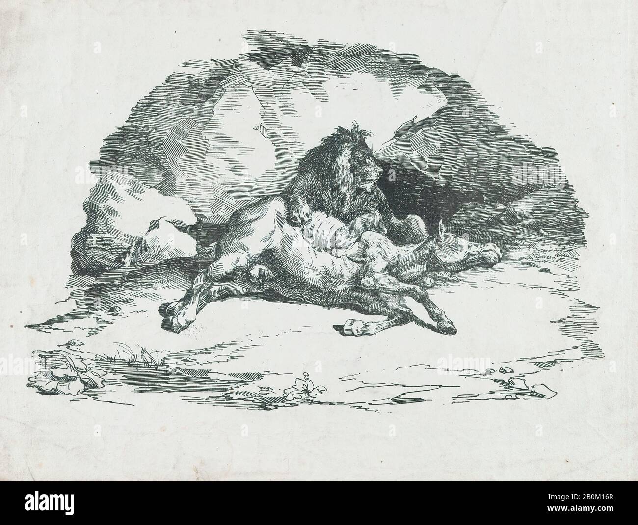 Lion dévorant un cheval Banque de photographies et d’images à haute ...