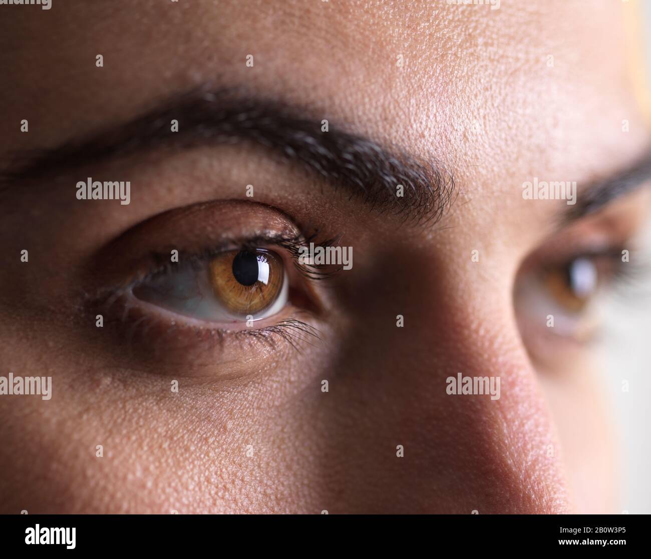 Aux Yeux Noisette Banque d'image et photos - Alamy