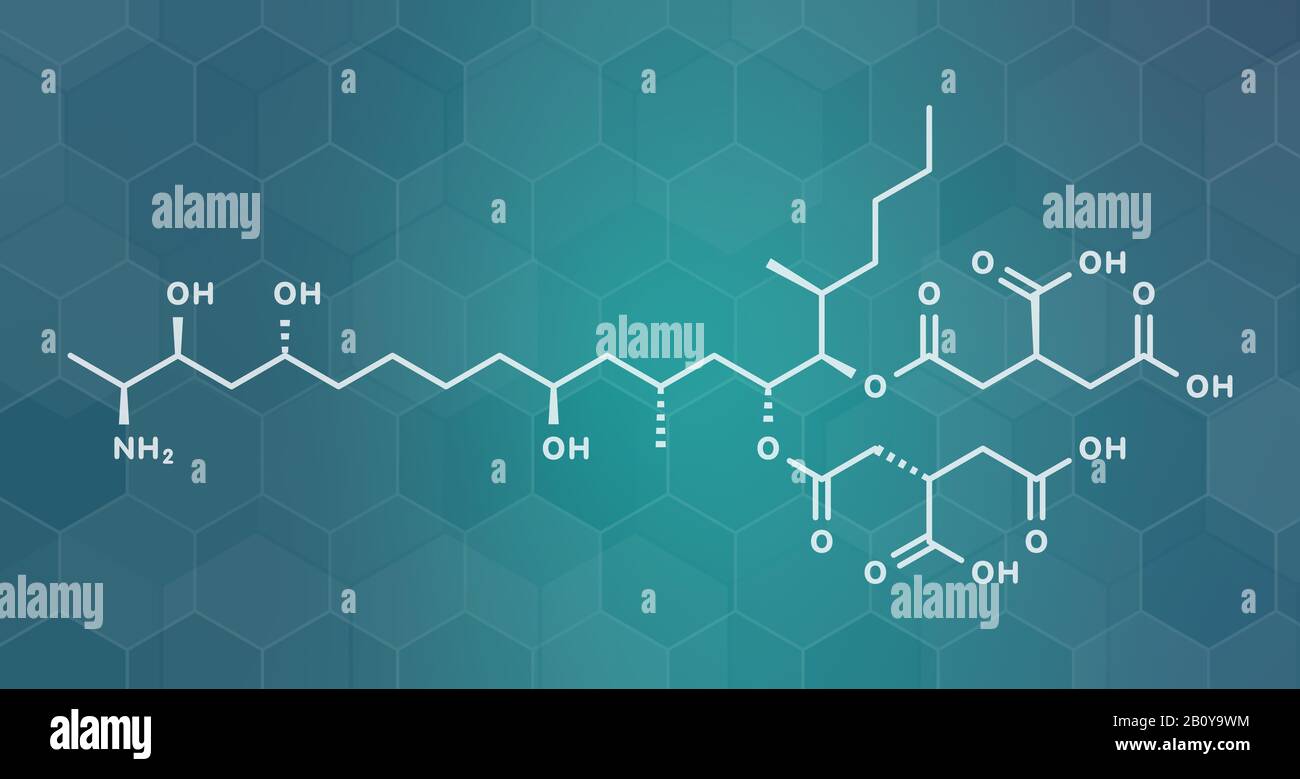 La fuminosine Banque de photographies et d’images à haute résolution ...
