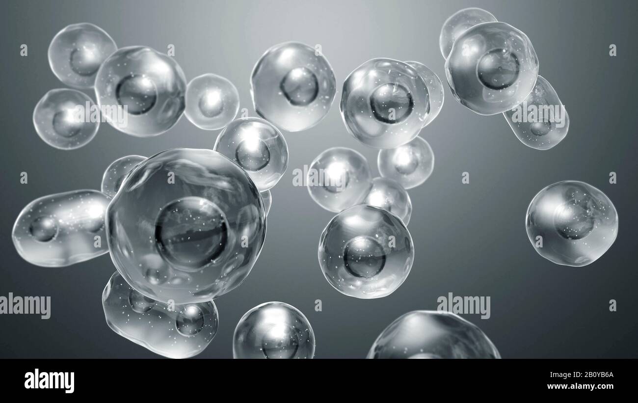 Cellule blanche Banque de photographies et d’images à haute résolution ...