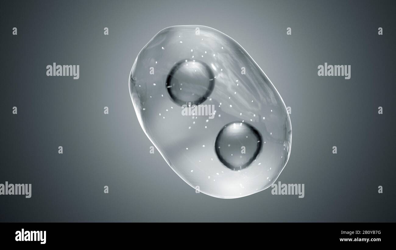 Cellule blanche Banque de photographies et d’images à haute résolution ...