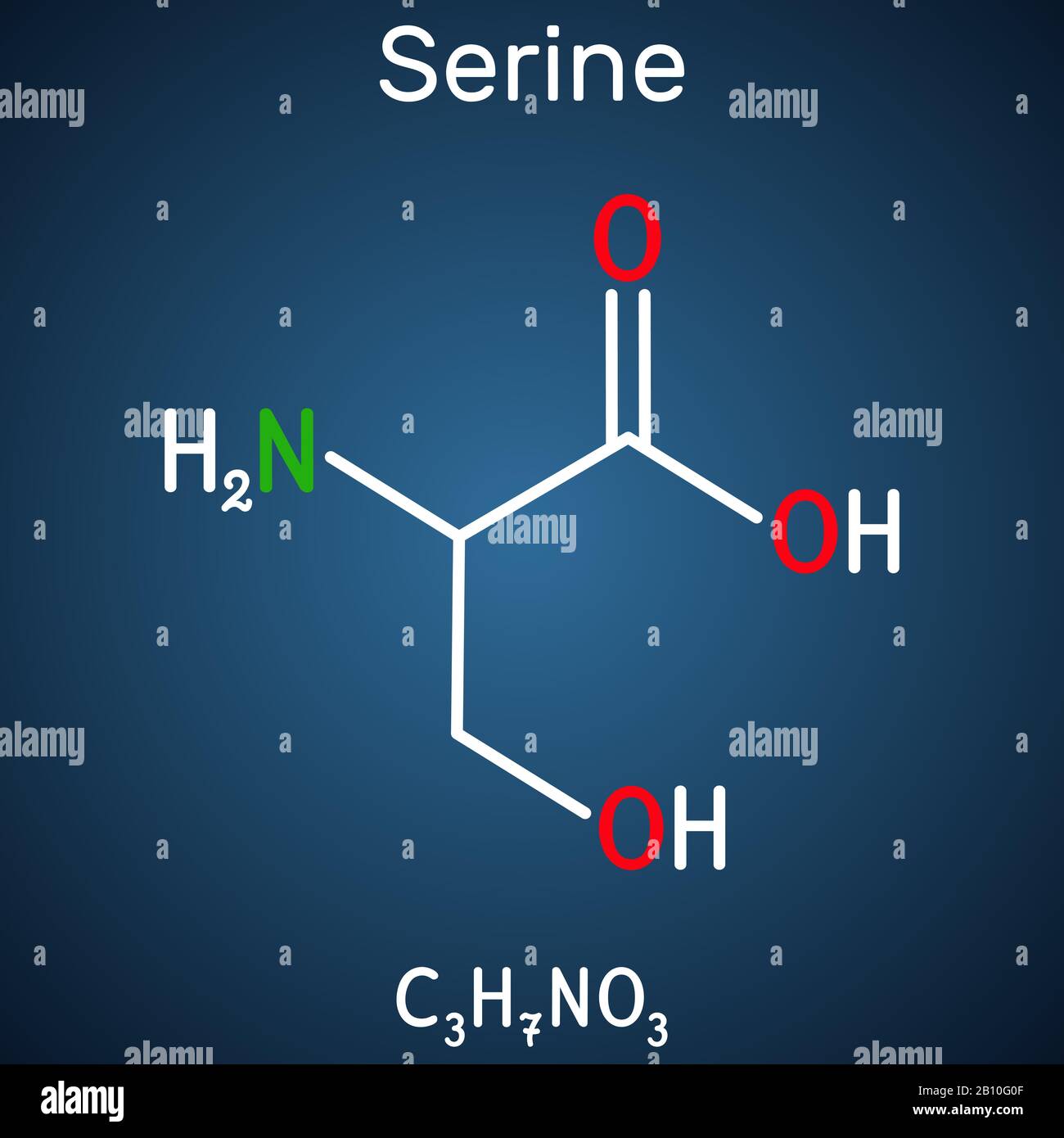 Sérine, molécule d'acide aminé Ser. Il est utilisé dans la biosynthèse ...