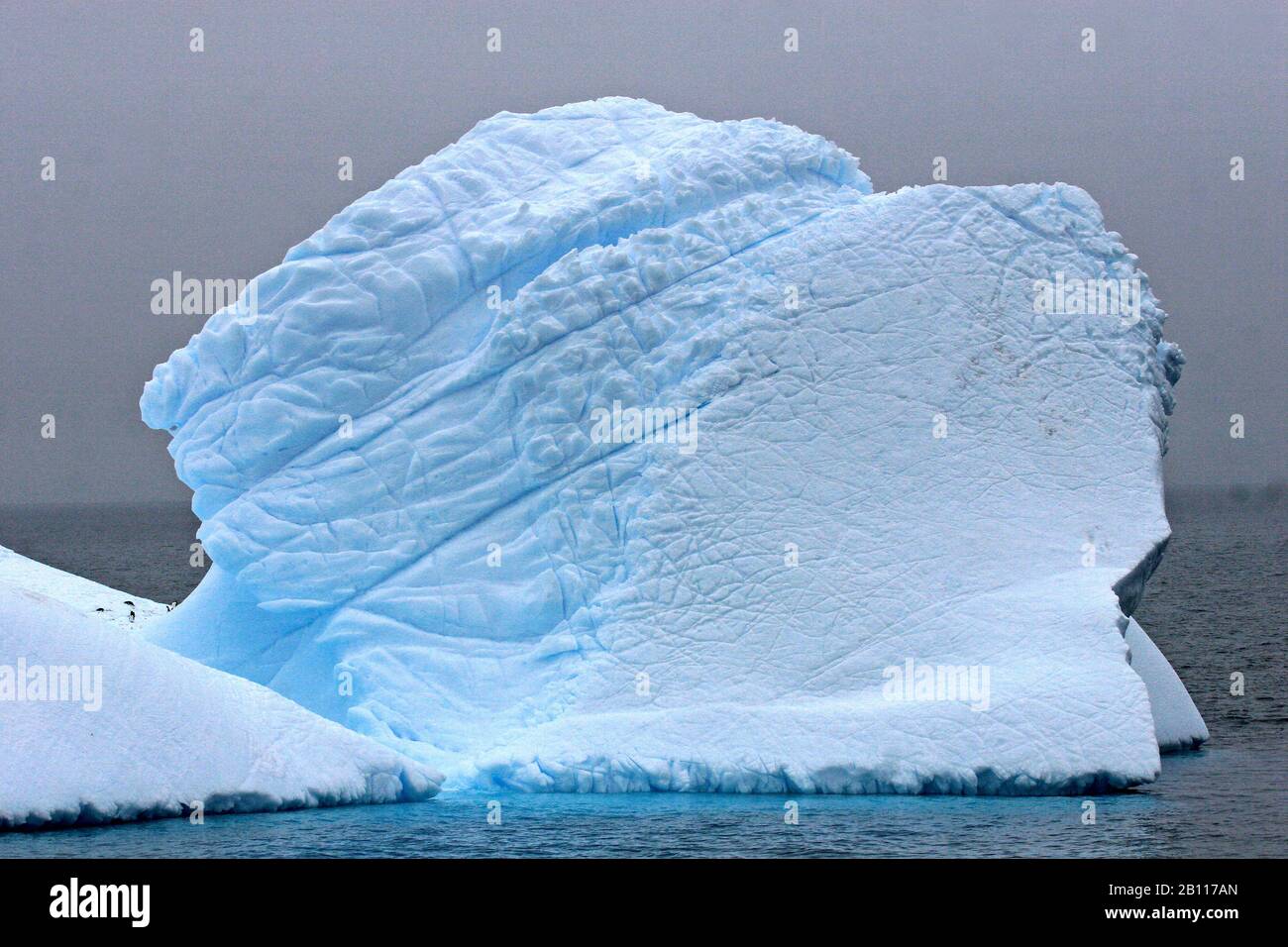 Iceberg en mer Banque de photographies et d’images à haute résolution ...